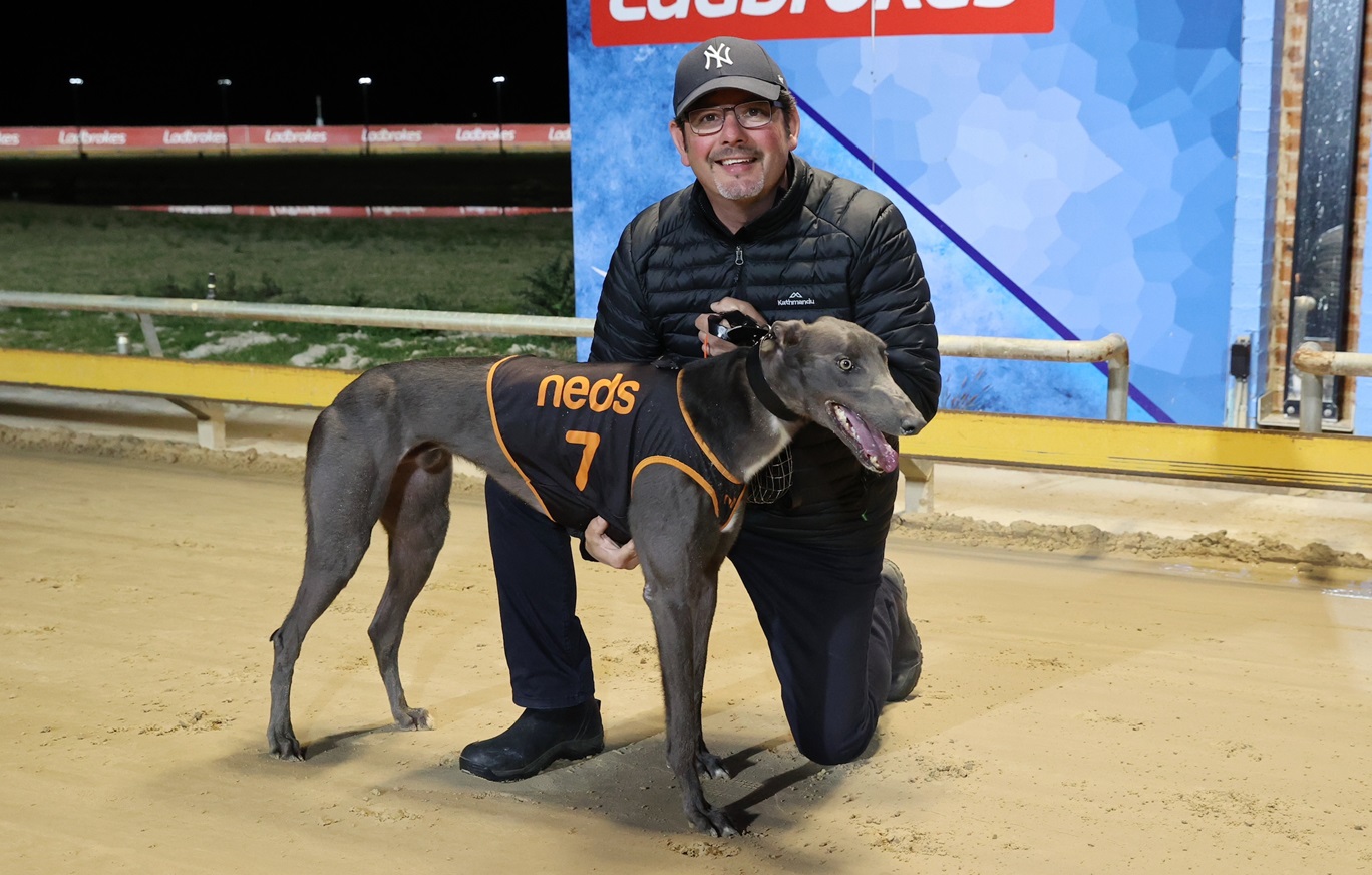 Flying Trial Has Sheba Set For Cup Onslaught - Greyhound Recorder