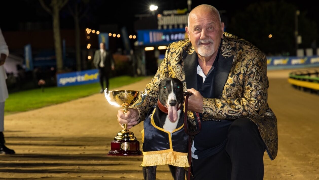 Melbourne Cup Champ Retired To Stud - Greyhound Recorder