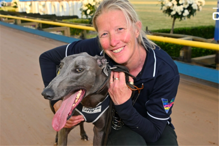 Hector Fawley Set For The Phoenix Onslaught - Greyhound Recorder