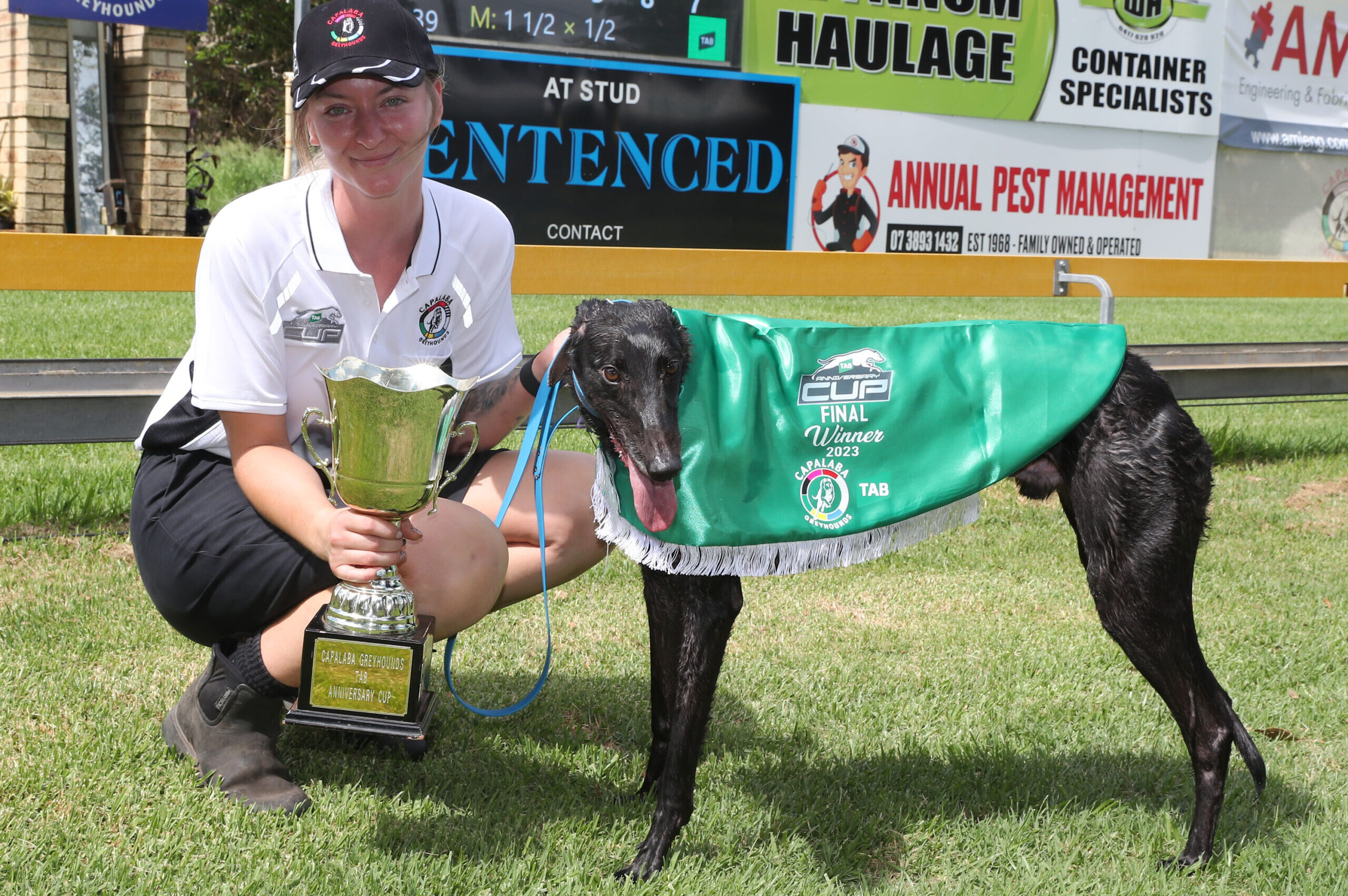 Tzouvelis Tossing Up Next Feature Target For Valhalla - Greyhound Recorder