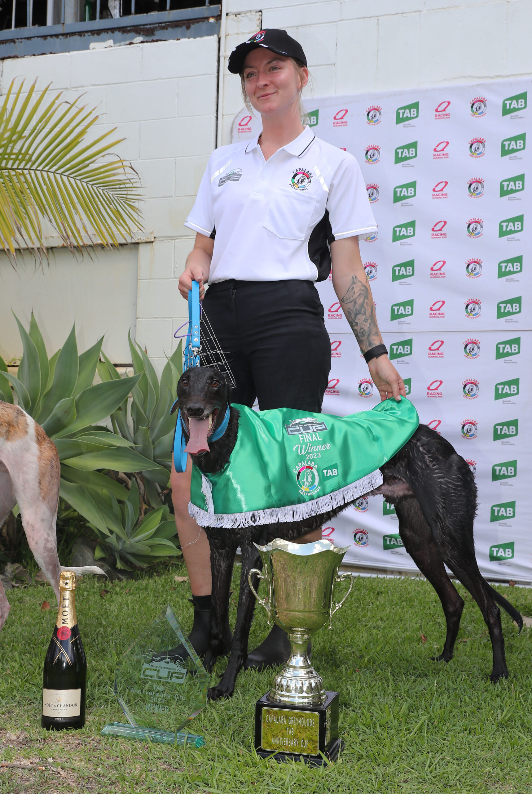 Tzouvelis Tossing Up Next Feature Target For Valhalla - Greyhound Recorder