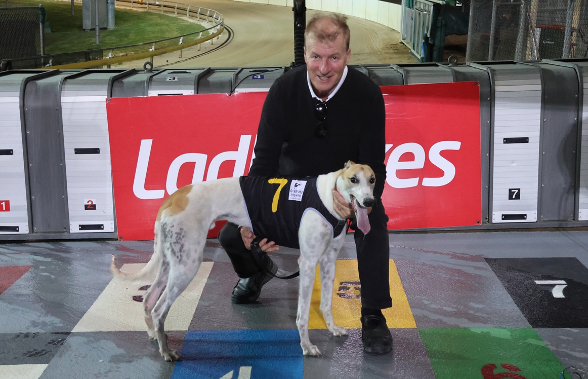 Geall Eyes Consecutive Hobart Thousand Titles - Greyhound Recorder