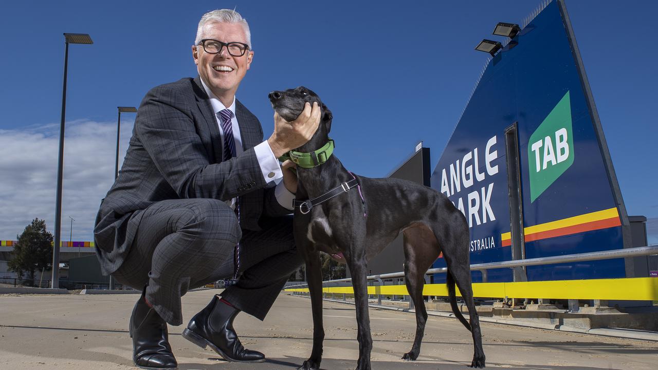 SA Government Puts GRSA On Notice - Greyhound Recorder