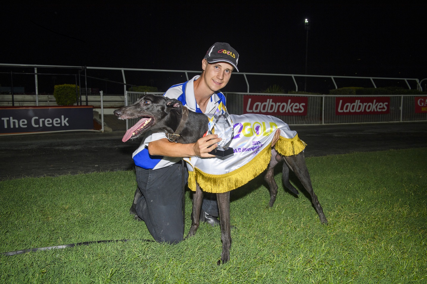 Alberton Park Lives Up To The Hype In QGOLD - Greyhound Recorder