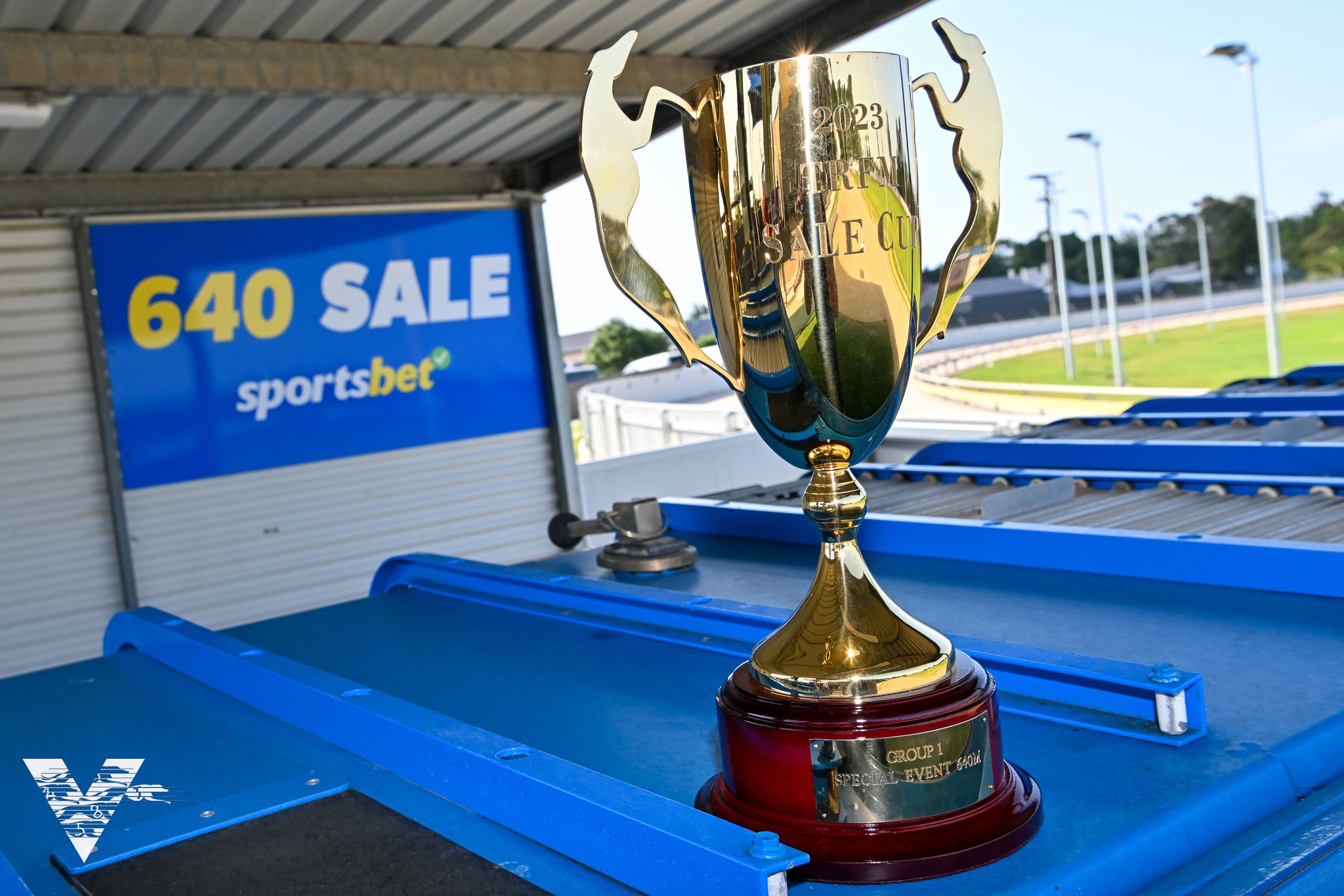 Azzopardi Aiming For Sale Cup Knockout