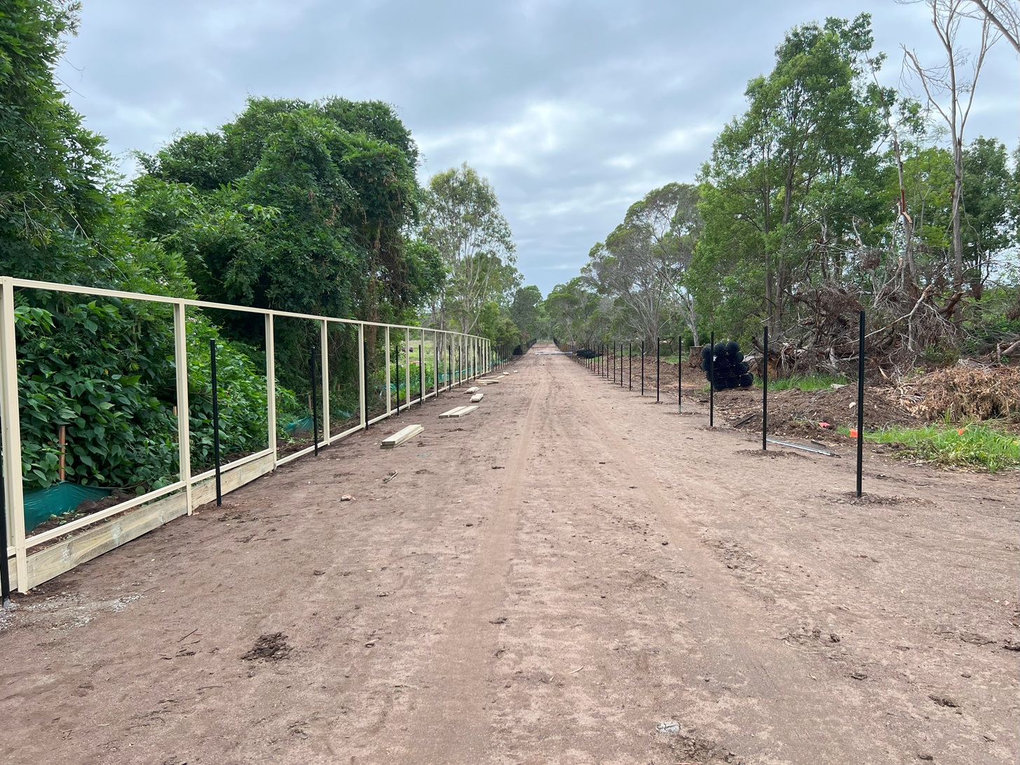 Anticipation Builds As Taree Nears Completion - Greyhound Recorder
