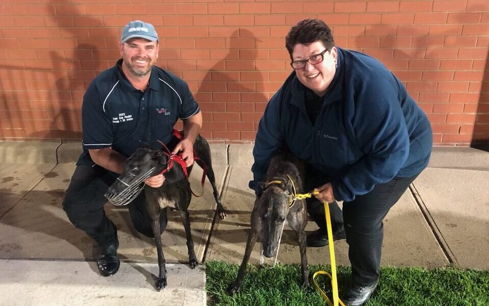 Drew Plots Fairy Tale Untapped Farewell - Greyhound Recorder