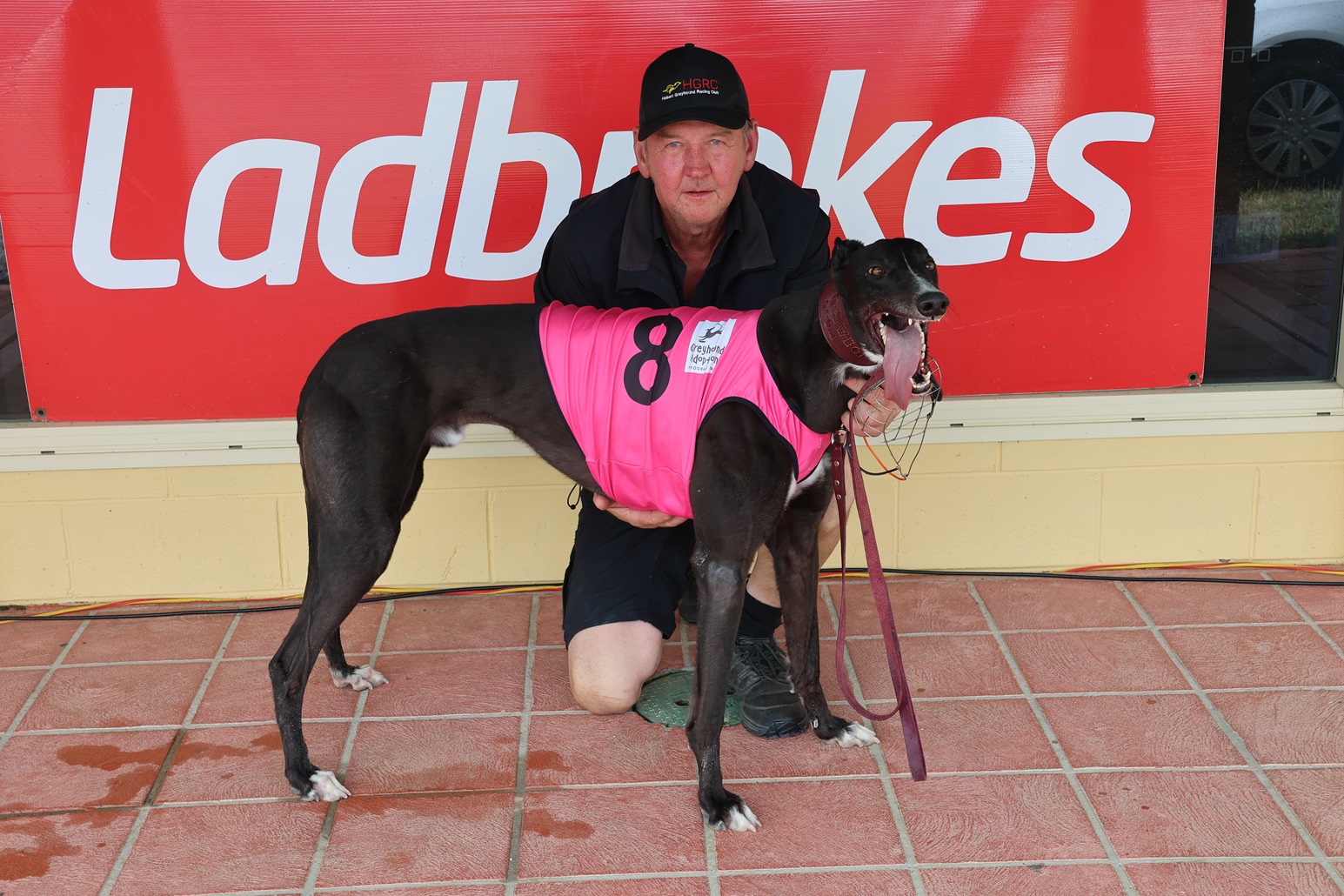 Diamond In Pursuit Of Second Ladbrokes Chase - Greyhound Recorder