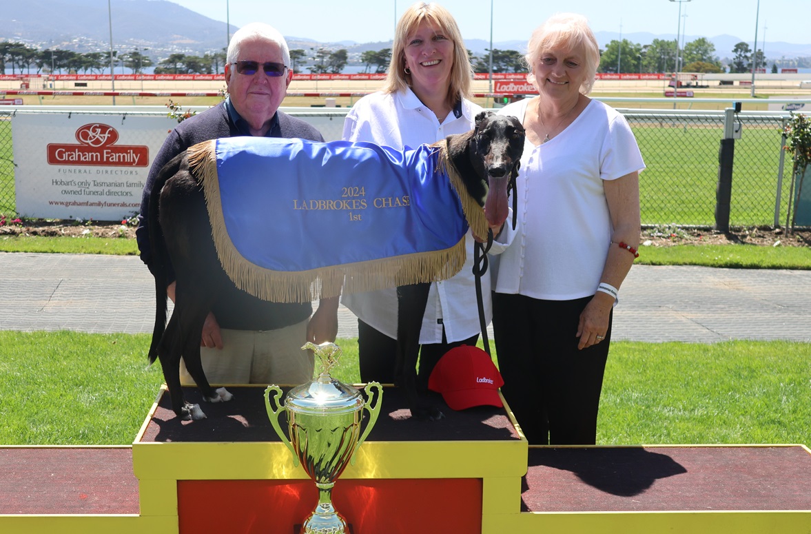 Raider's Guide Rattles To Victory In Chase - Greyhound Recorder