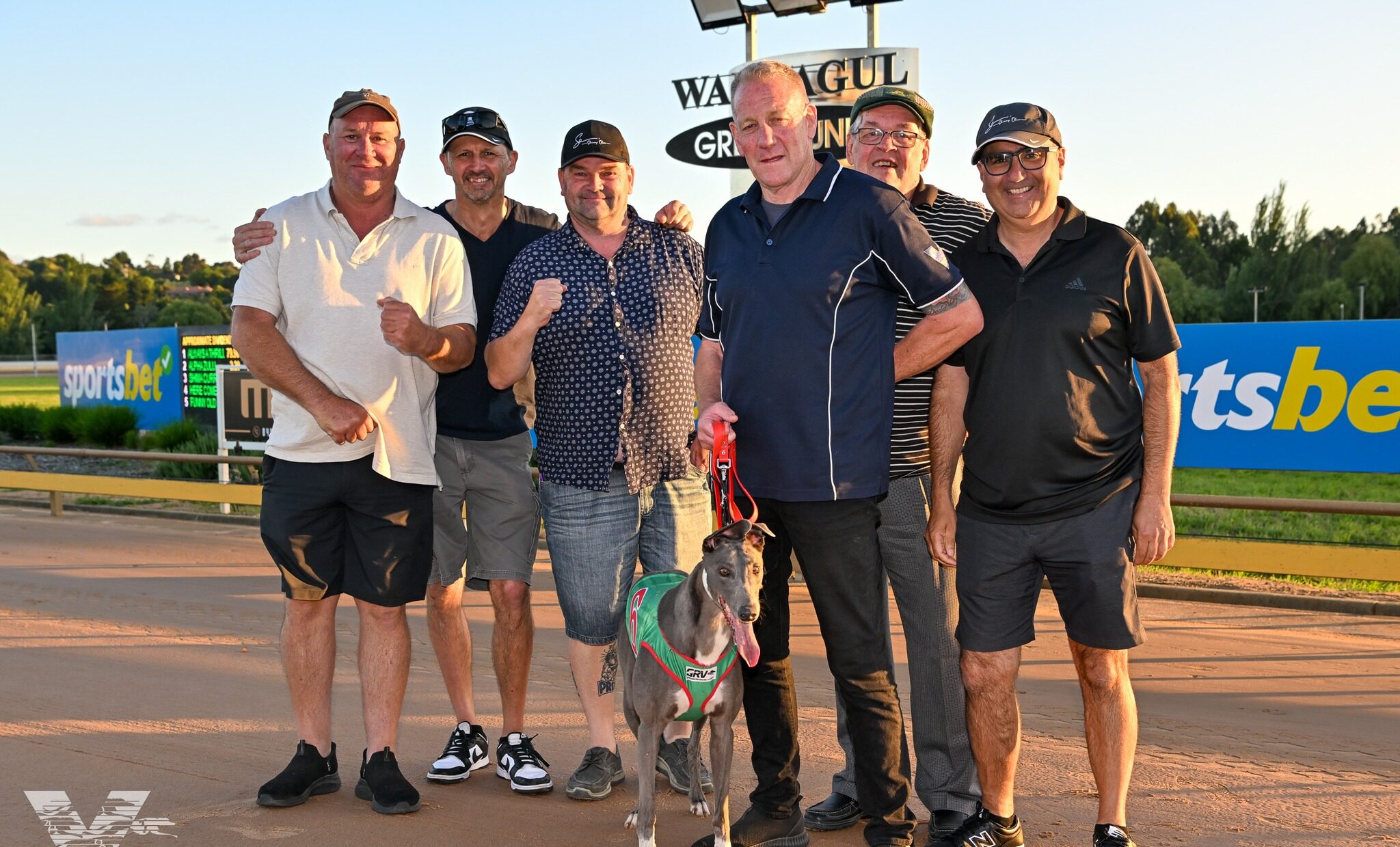 Douch Unleashes Fab Five In Traralgon Cup - Greyhound Recorder