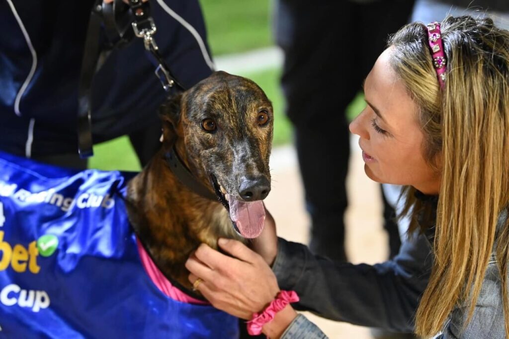 Collinda Unleashes In Traralgon Cup Triumph - Greyhound Recorder
