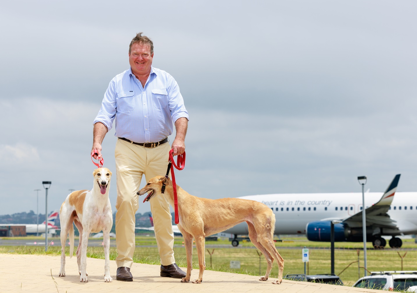 Talks Begin To Deliver 'Gold Standard Industry' - Greyhound Recorder