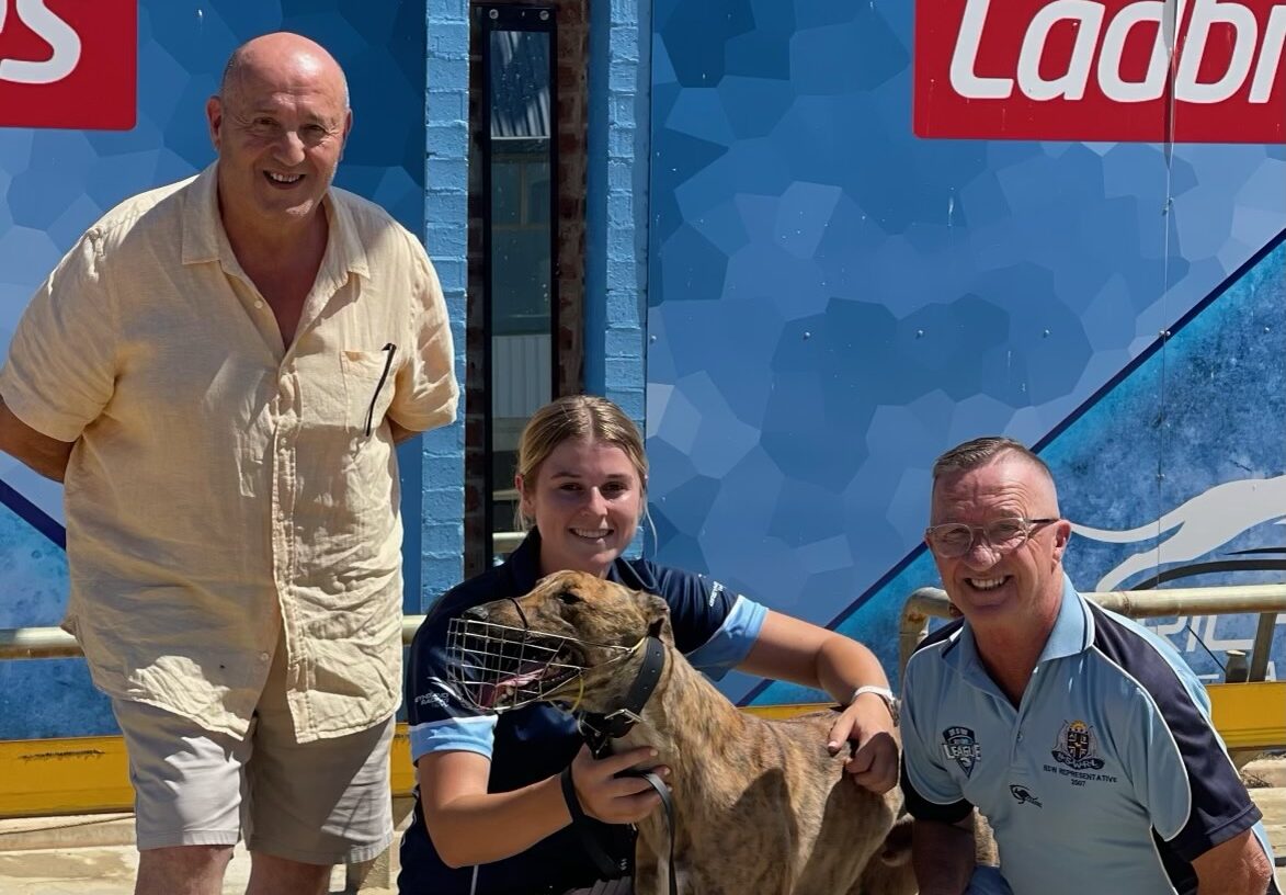 'Miracle' Mal Riding The Crest Of Winning Wave - Greyhound Recorder