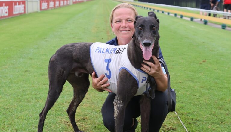 Gypsy Parade Greyhound - Form, Stats & News