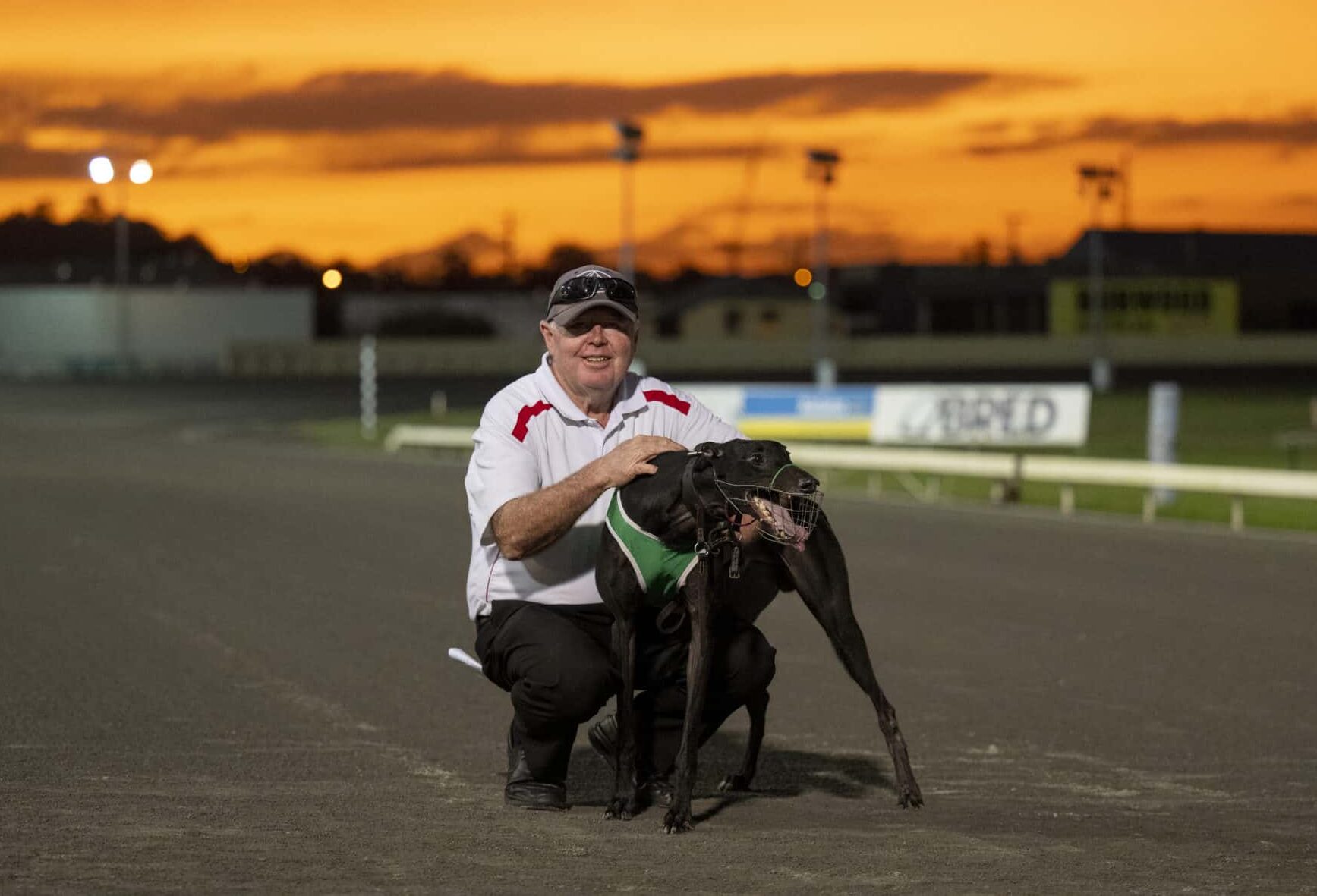 Doing Fine Set For Steep The Richmond Test - Greyhound Recorder