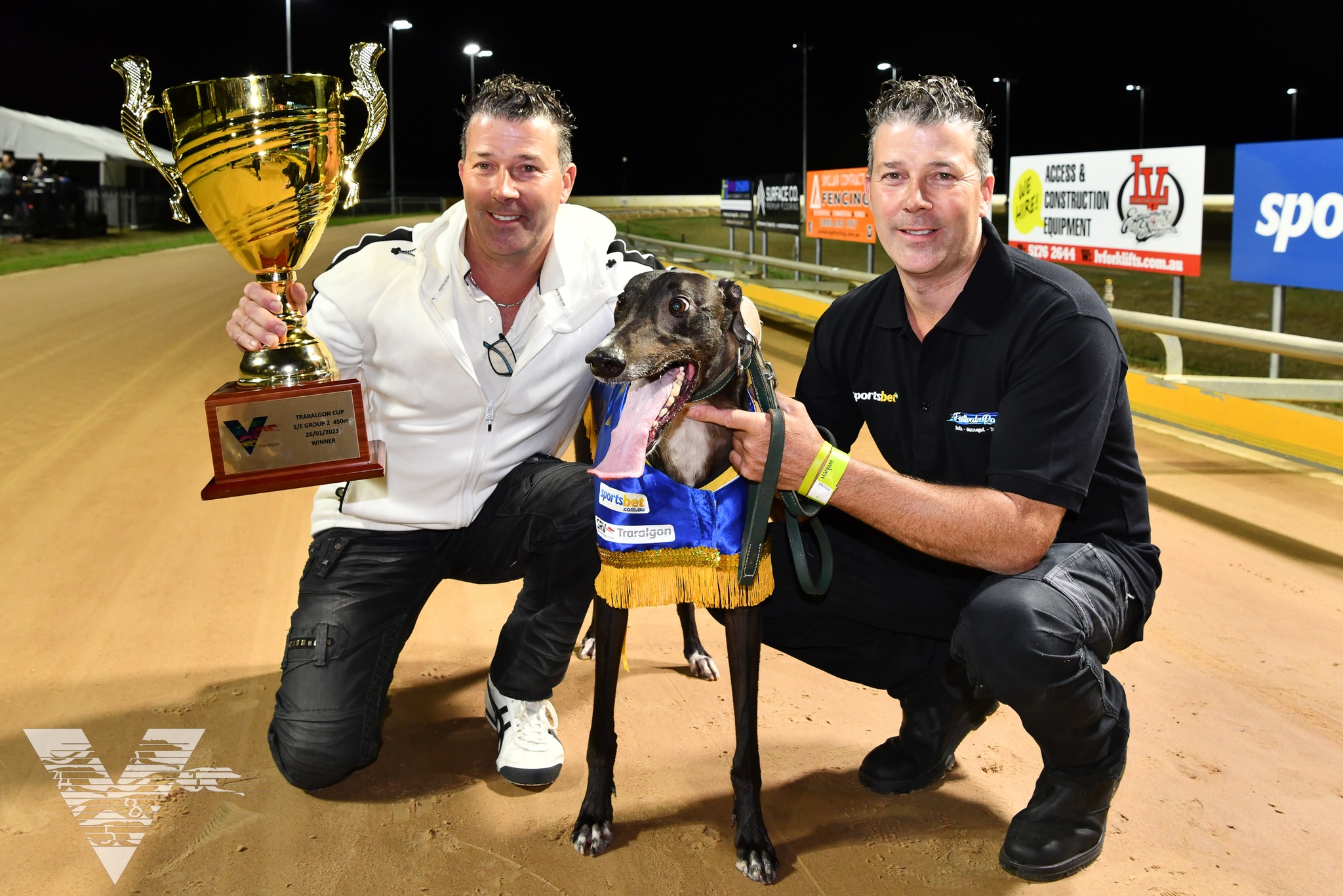Cups 'Legend' Mobile-ised For Stud Upstart - Greyhound Recorder
