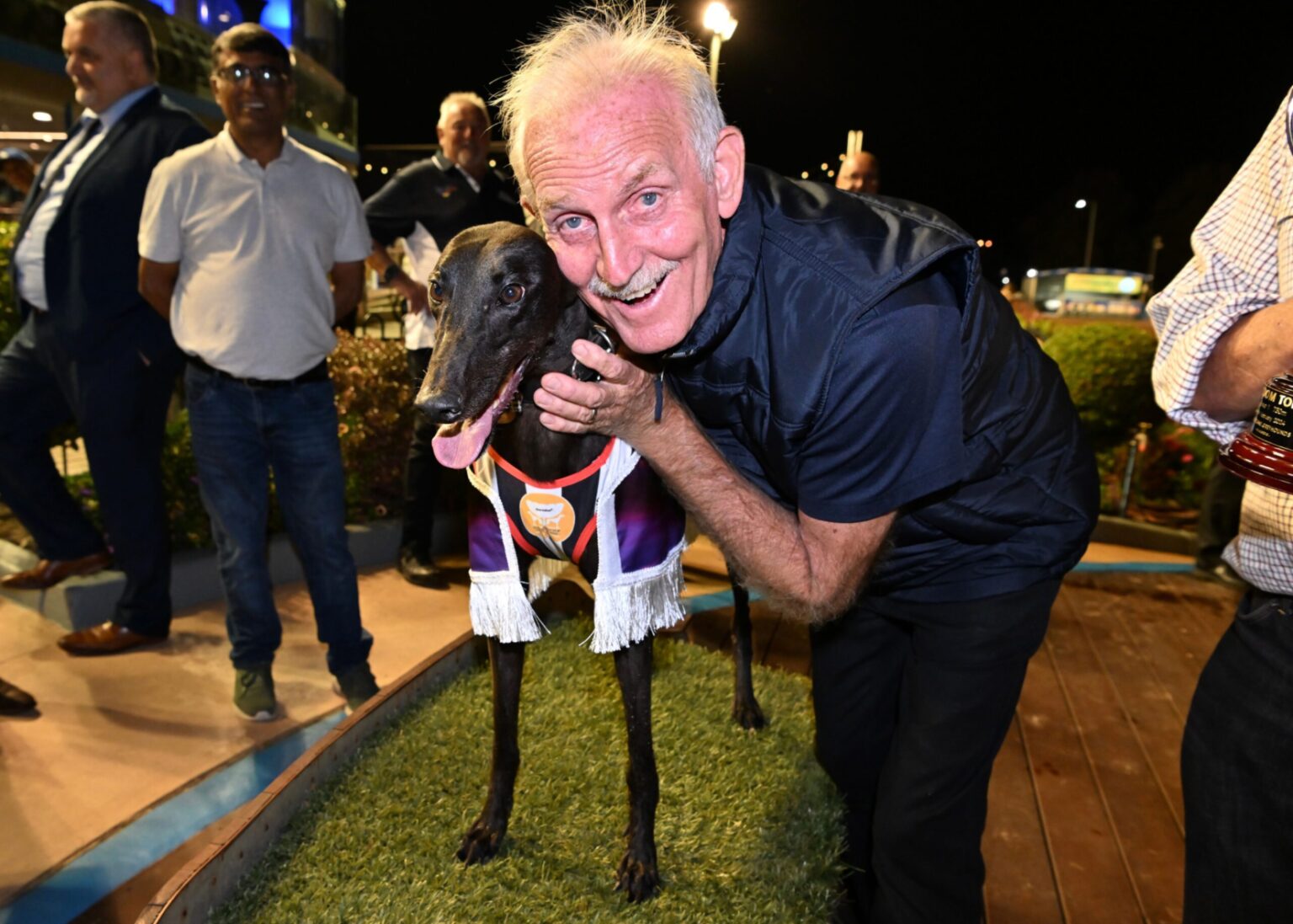 More Honours Await Valpolicella In Gold Cup - Greyhound Recorder