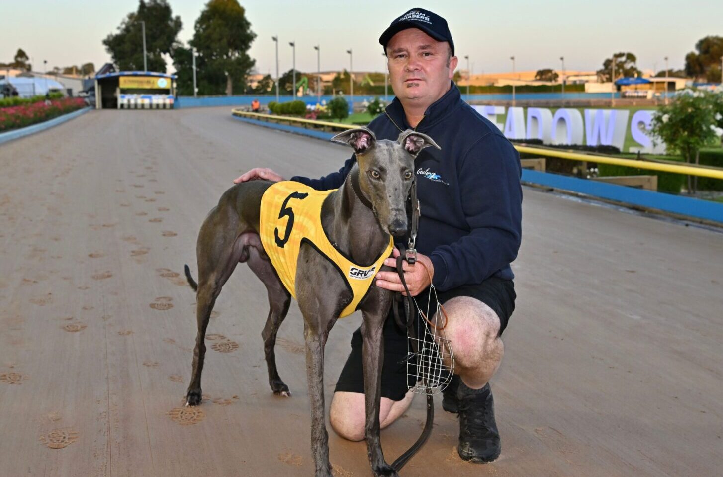 Magical Hector Fawley Heats Up Australian Cup - Greyhound Recorder