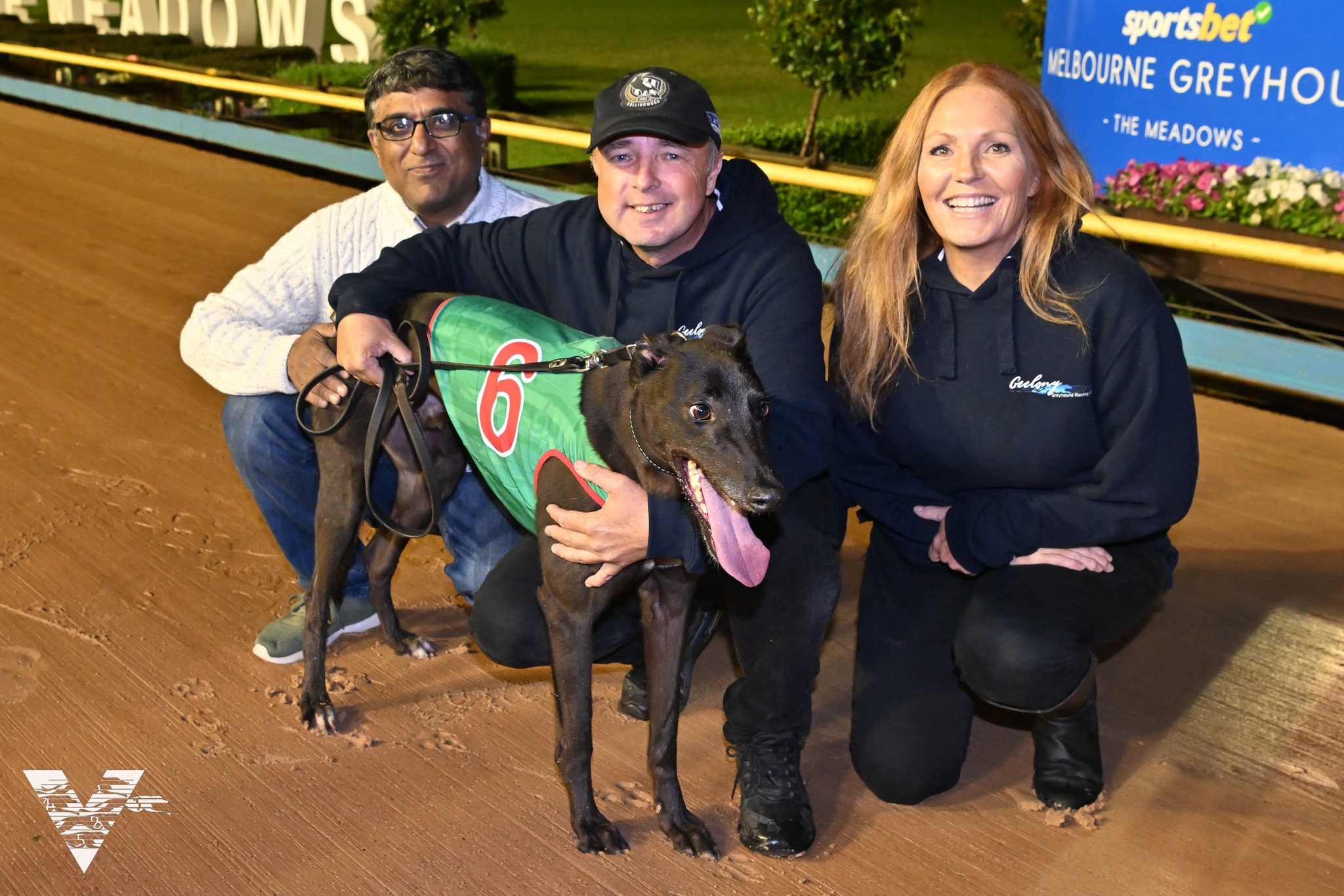 The Sandgroper Right In Morton's Sweet ‘Slot' - Greyhound Recorder