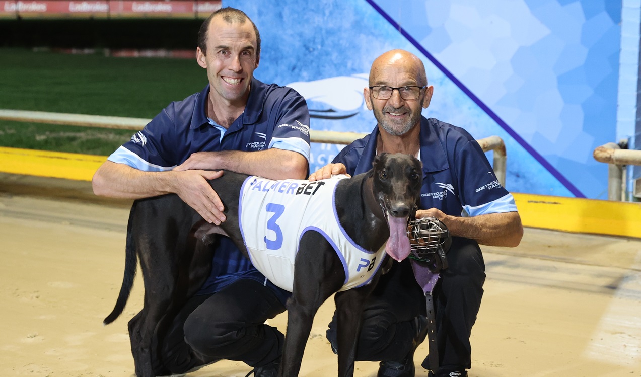 Ferness Finds His Groove Ahead Of Vic Peters - Greyhound Recorder