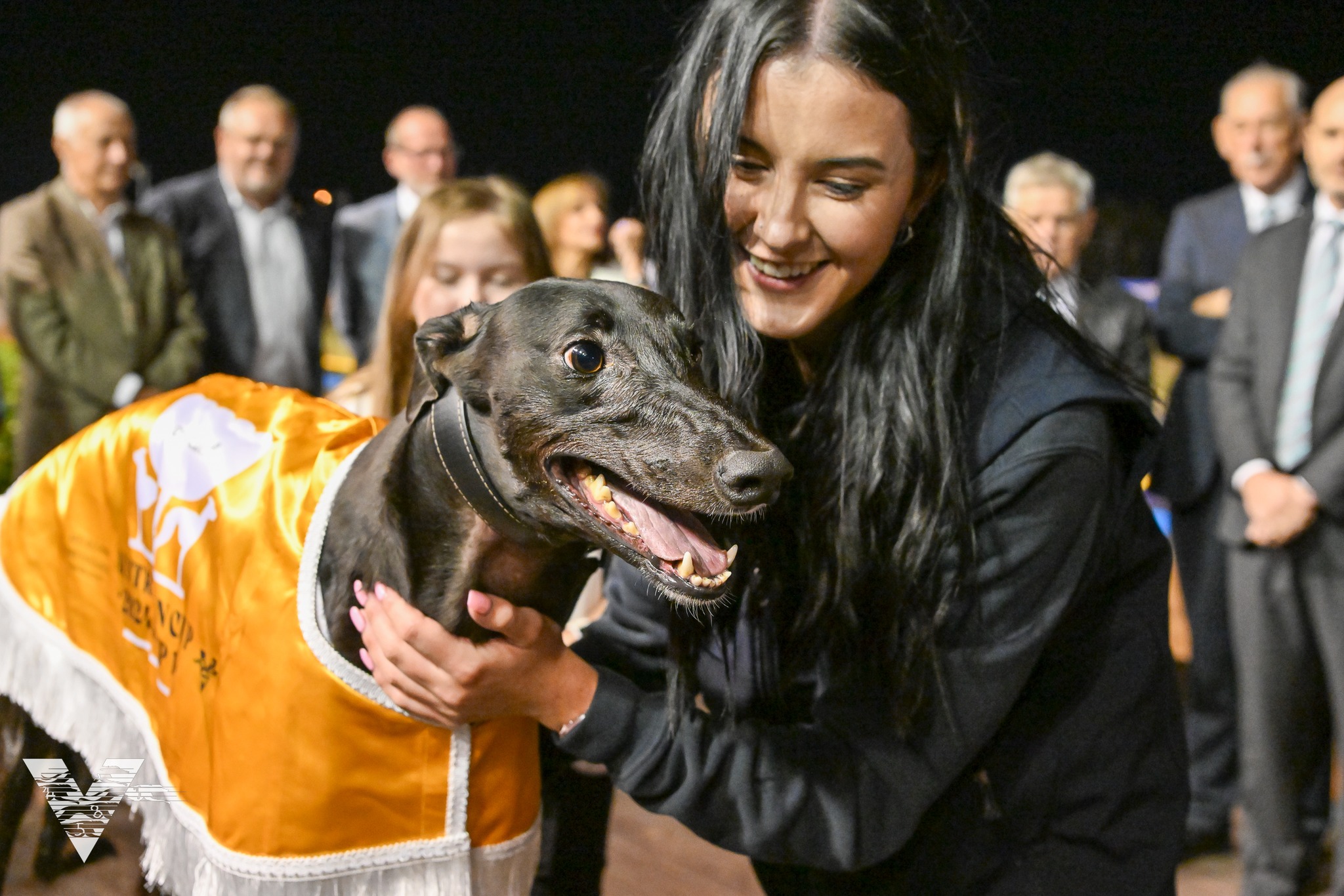 Thompson On Track For Historic 7th Adelaide Cup - Greyhound Recorder