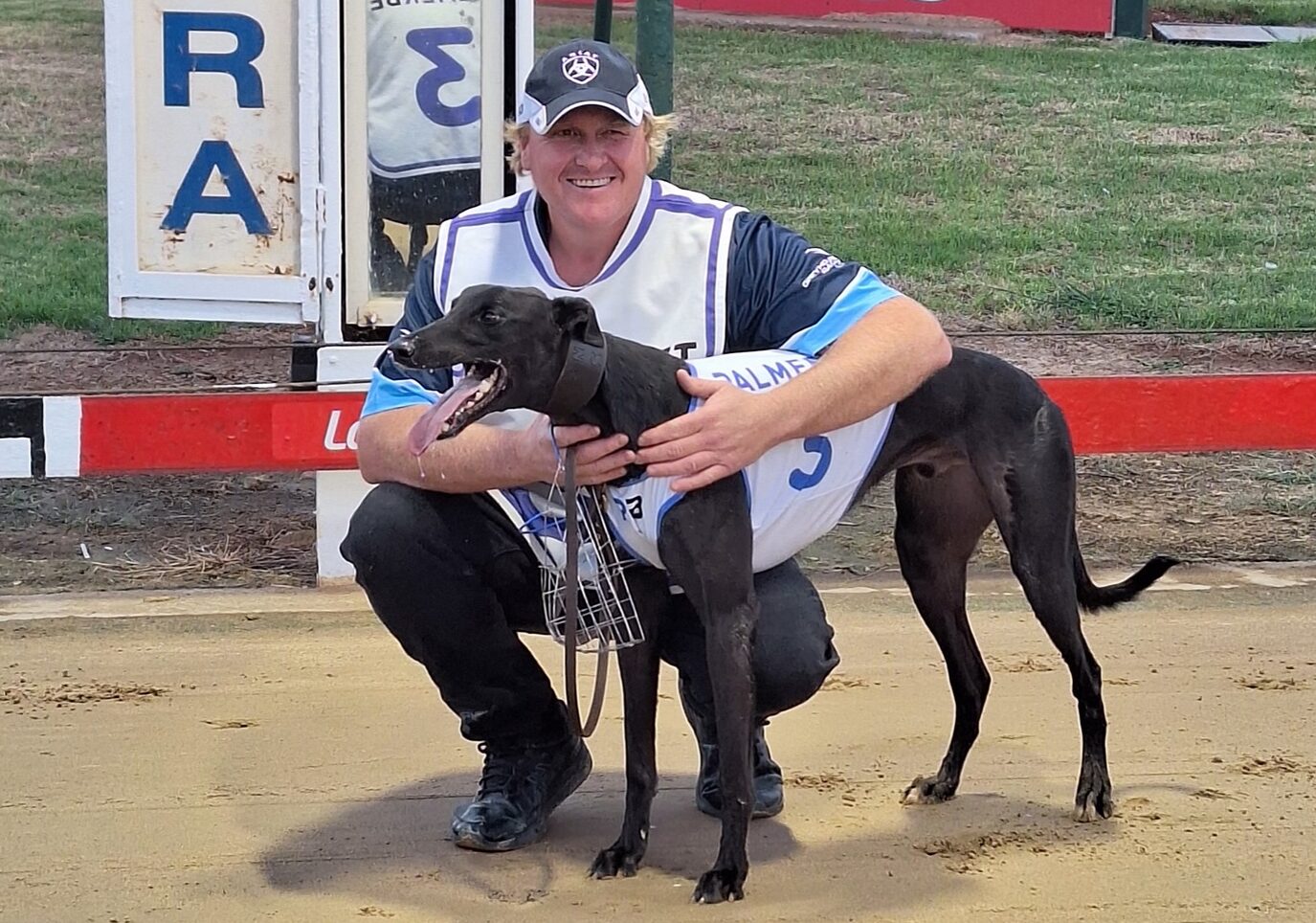 Derby Hero Set For Temora Cup Onslaught - Greyhound Recorder