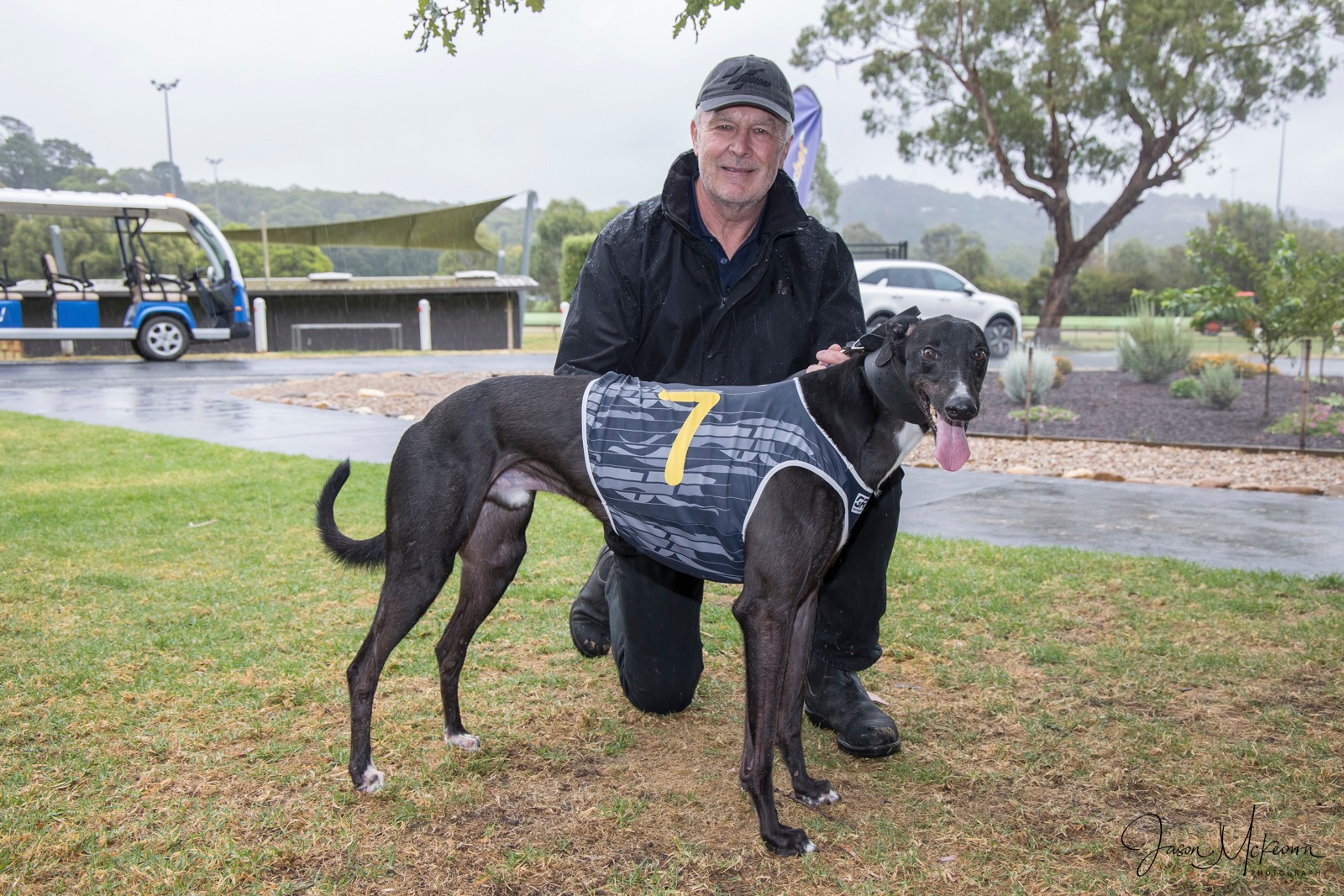 Emerald Shine ‘Meant To Be' For Swindled - Greyhound Recorder