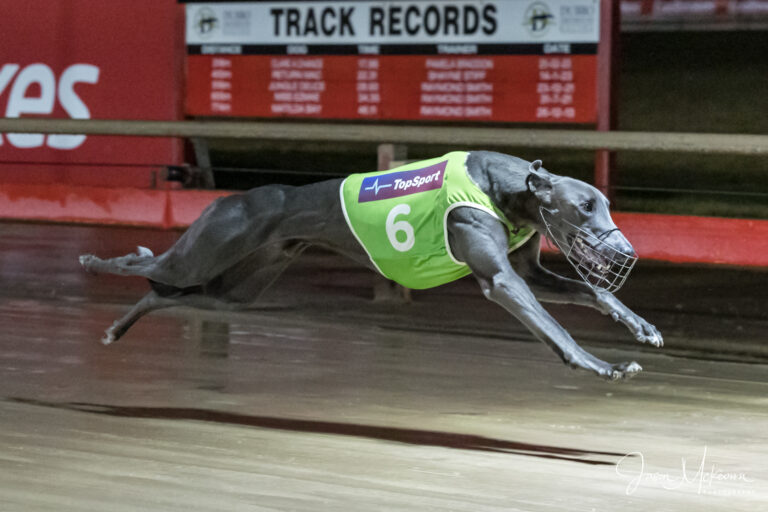 Ash Tray Change Proving A Revelation For Edwards - Greyhound Recorder