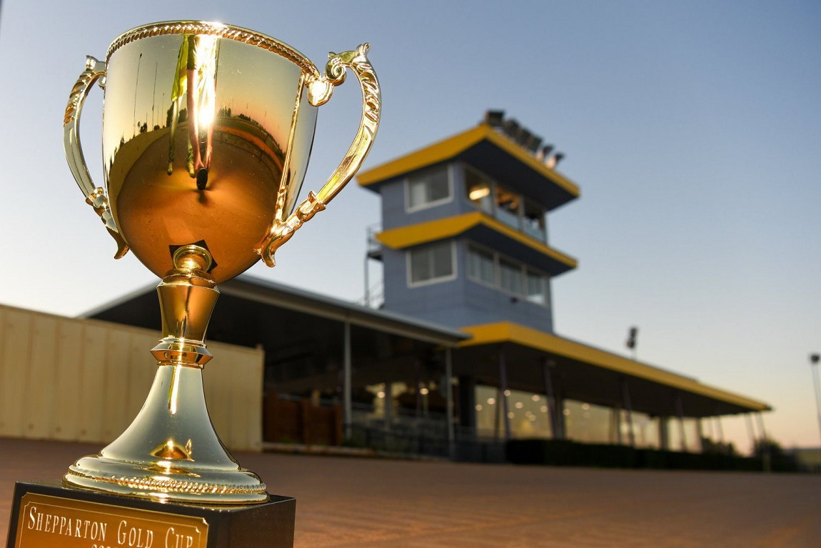 Tips, Preview For Group 2 Shepparton Cup Night - Greyhound Recorder