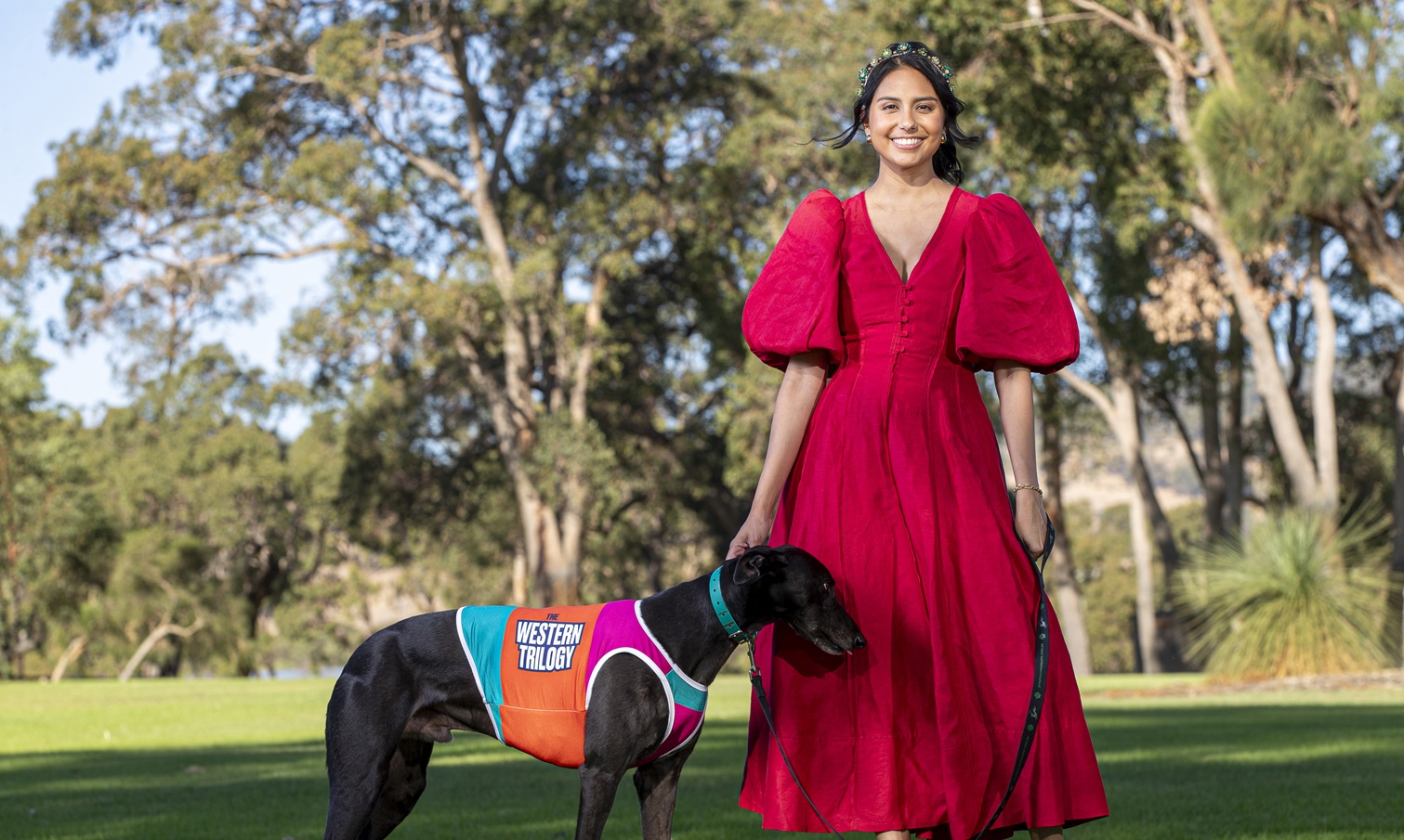 Box Draw For $600,000 The Sandgroper Revealed - Greyhound Recorder