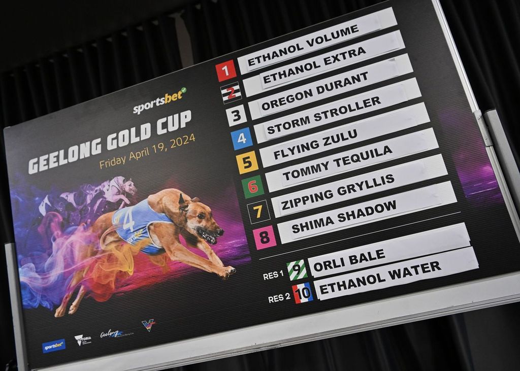 Storm Surrounds Stroller's Third Geelong Cup Bid - Greyhound Recorder