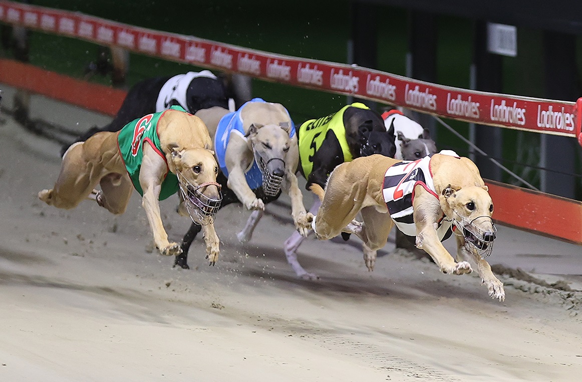 Larry And Jim Will Have Barnes Cheering In Egg - Greyhound Recorder