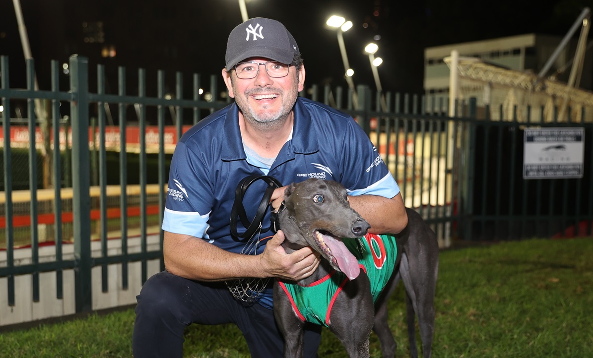 Slashing Trial Has Sheba Set For Black Top Showing - Greyhound Recorder