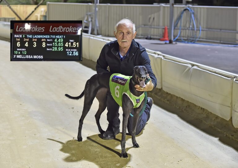 Box Draw: Interstate Raiders Headline The 715 - Greyhound Recorder