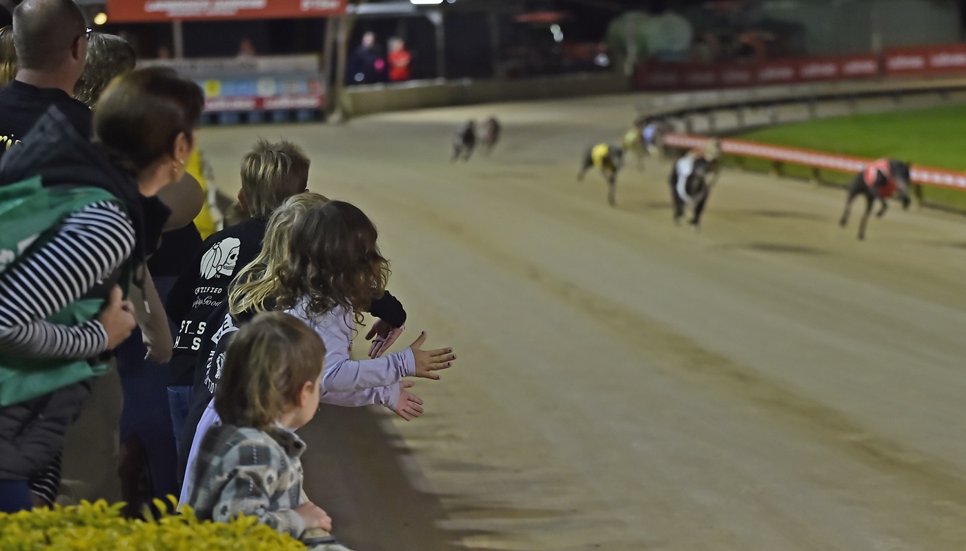 GRNSW & Clubs Reach Deal, Strike Action Averted - Greyhound Recorder GRNSW & Clubs Reach Deal, Strike Action Averted - Greyhound Recorder