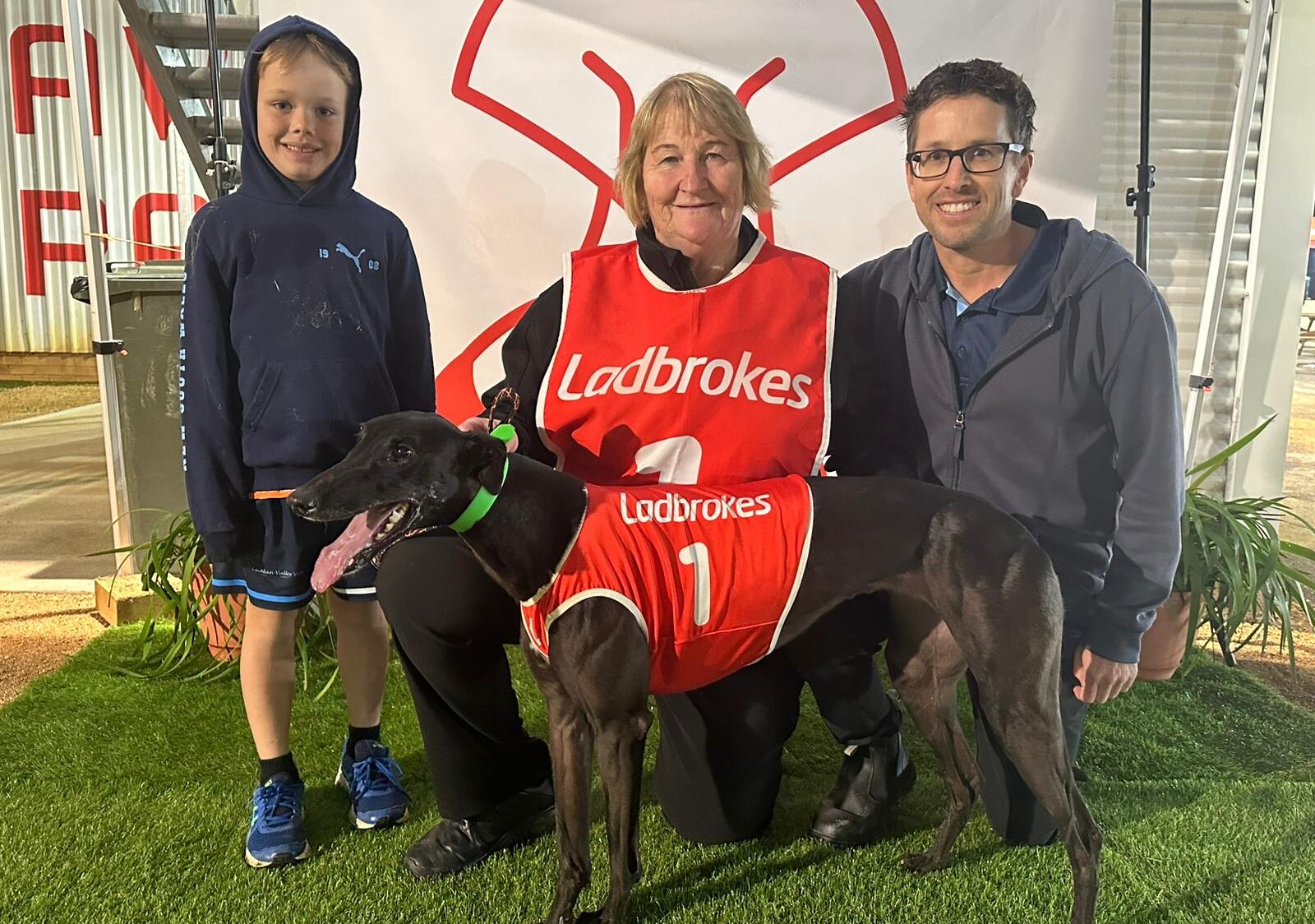 Bella Una In Box Seat For Brother Fox - Greyhound Recorder