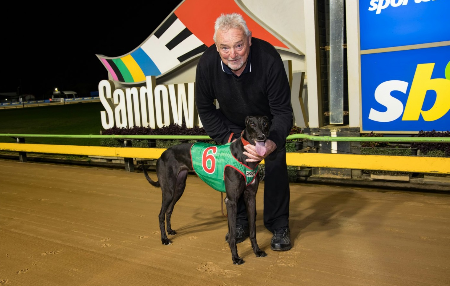 Millie To Prove A Pick Me Up For Whyte - Greyhound Recorder