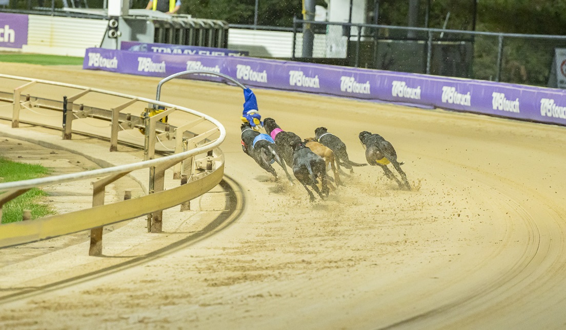 Cannington Sidelined As $3 Million In Work Begins - Greyhound Recorder
