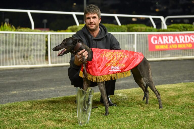 Deep Flyer Greyhound - Form, Stats & News