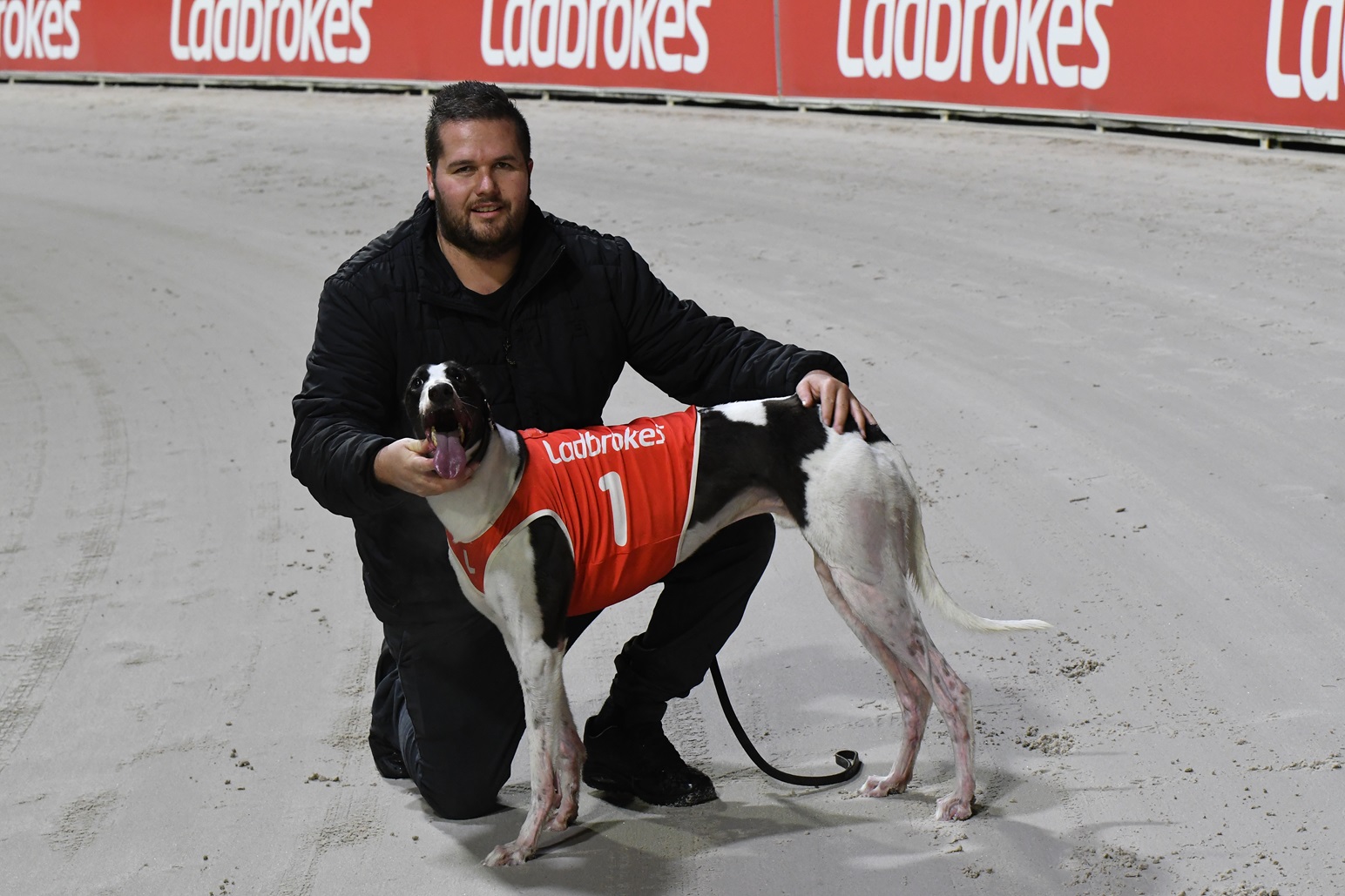 'Defies Logic': Brute Banner A Bolt From The Blue - Greyhound Recorder