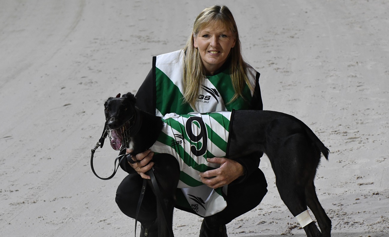 Short And Stumpy Eyes Thunderbolt Fairy-'tail' - Greyhound Recorder