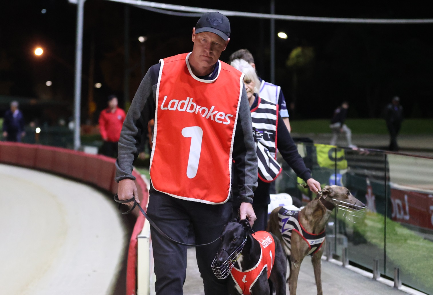 Gibbons' Banner To Fly Again In Mosman - Greyhound Recorder