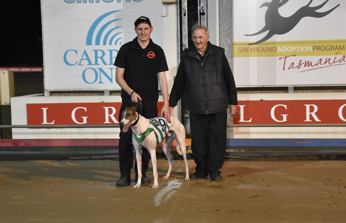 Whisky Barrel Runs Home A Winner For Martin - Greyhound Recorder