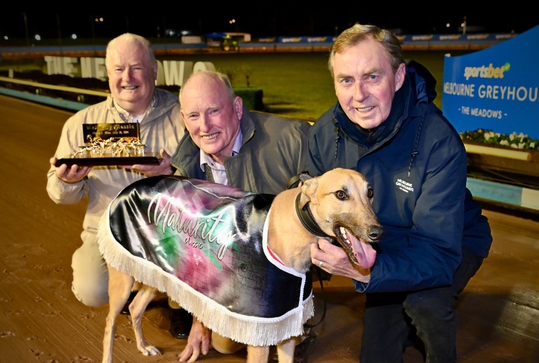 Follow The Band Hits Winning Note In Maturity - Greyhound Recorder