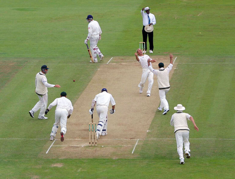 Mark Saal Greyhound Trainer - Stats & News