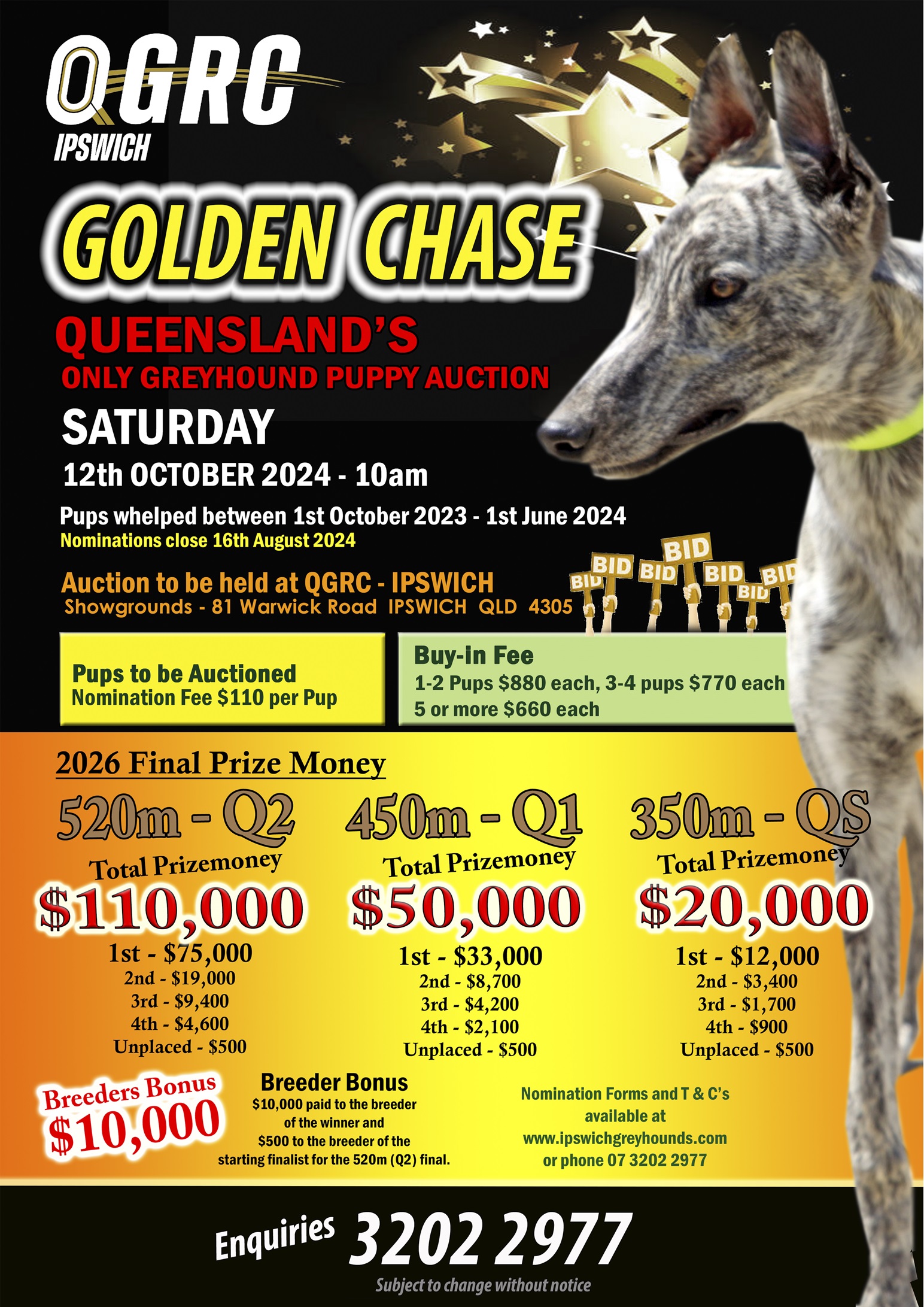 New Dawn At 'The Q' For Golden Chase Auction - Greyhound Recorder