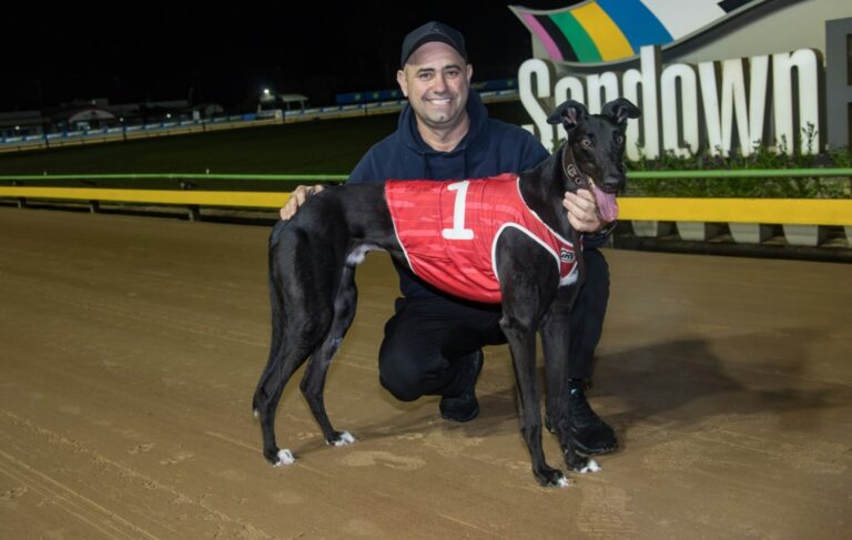 Azzopardi Plots Three State Group Race Assault - Greyhound Recorder