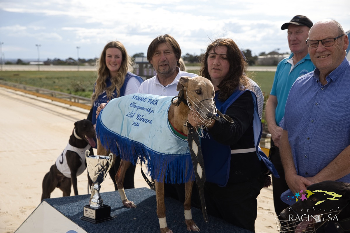 Injury Prone So Be It Eyes Straight Track Glory - Greyhound Recorder