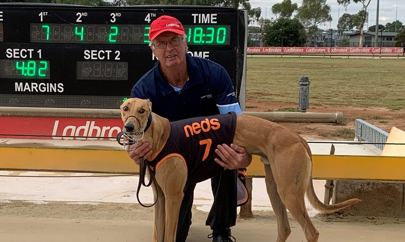 Hope's Secret Hones In On $5k Dubbo Bonus - Greyhound Recorder