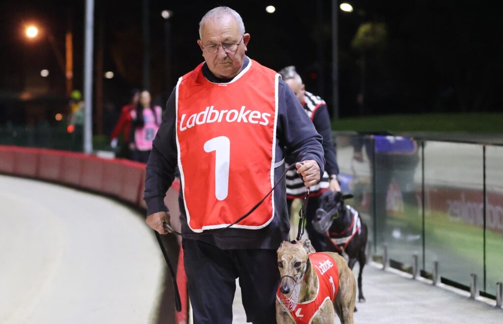 Rapid Rise Has Lady Wilson On Million Dollar Path - Greyhound Recorder